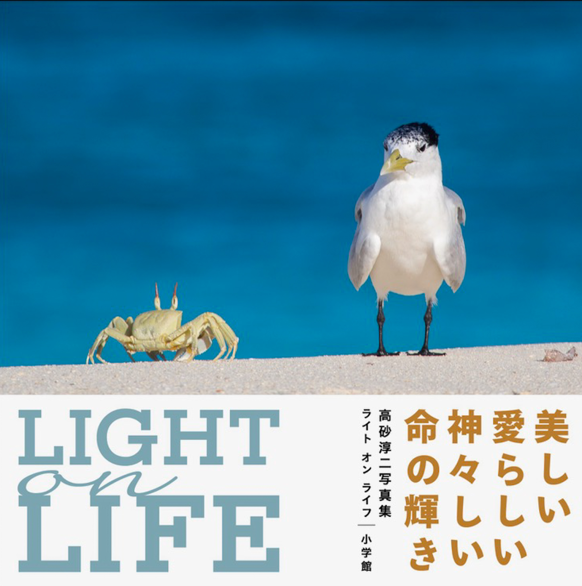 Publication pages | Junji Takasago